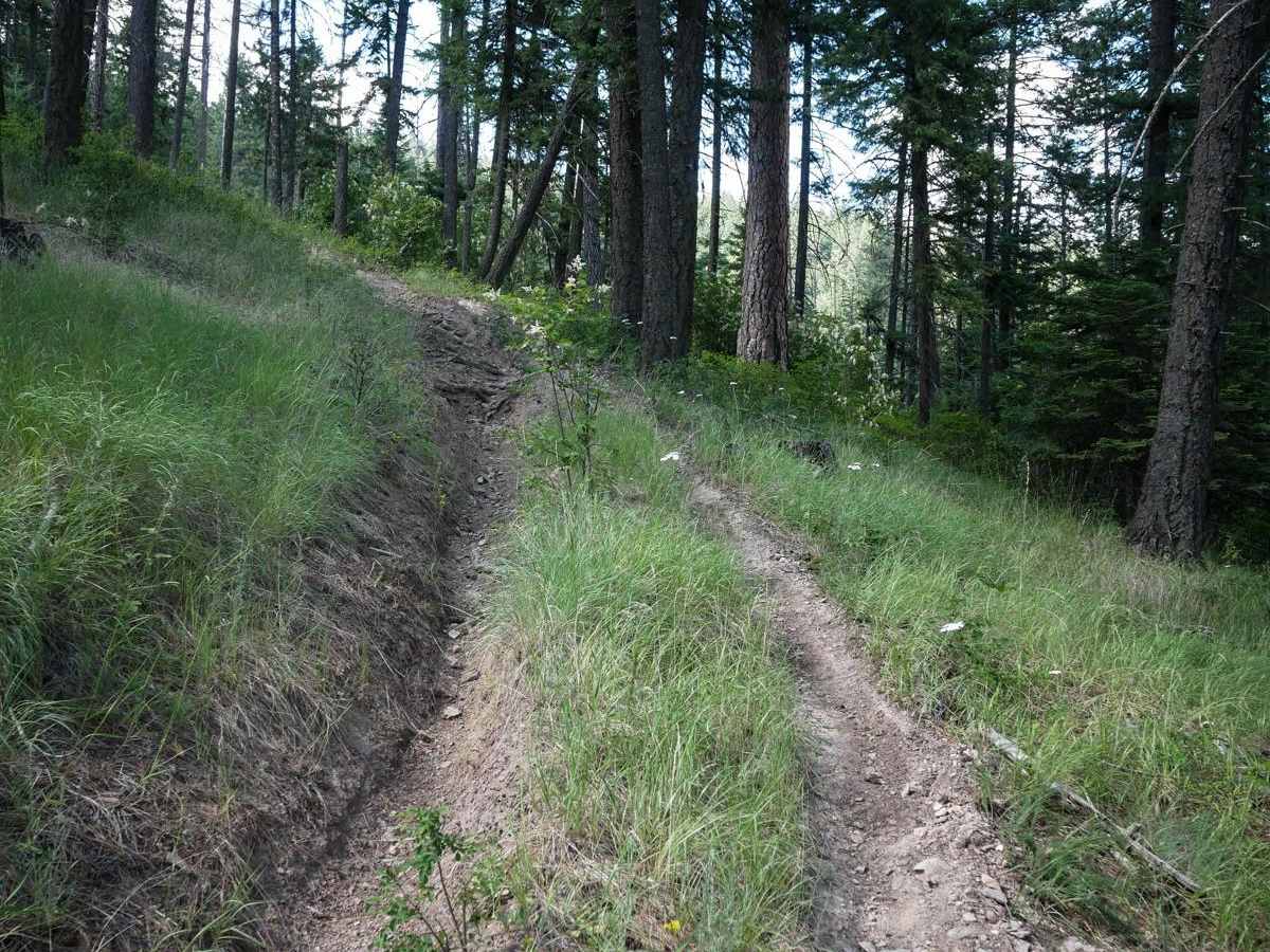 Canfield Mountain- Trail 5 | Off-Road Trail Maps, Difficulty, Trail ...
