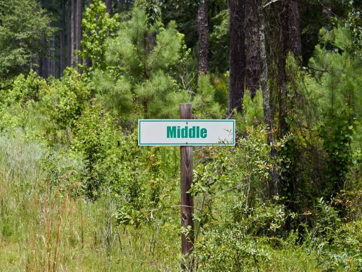 Middle Road | Off-Road Trail Maps, Difficulty, Trail Status | onX Offroad
