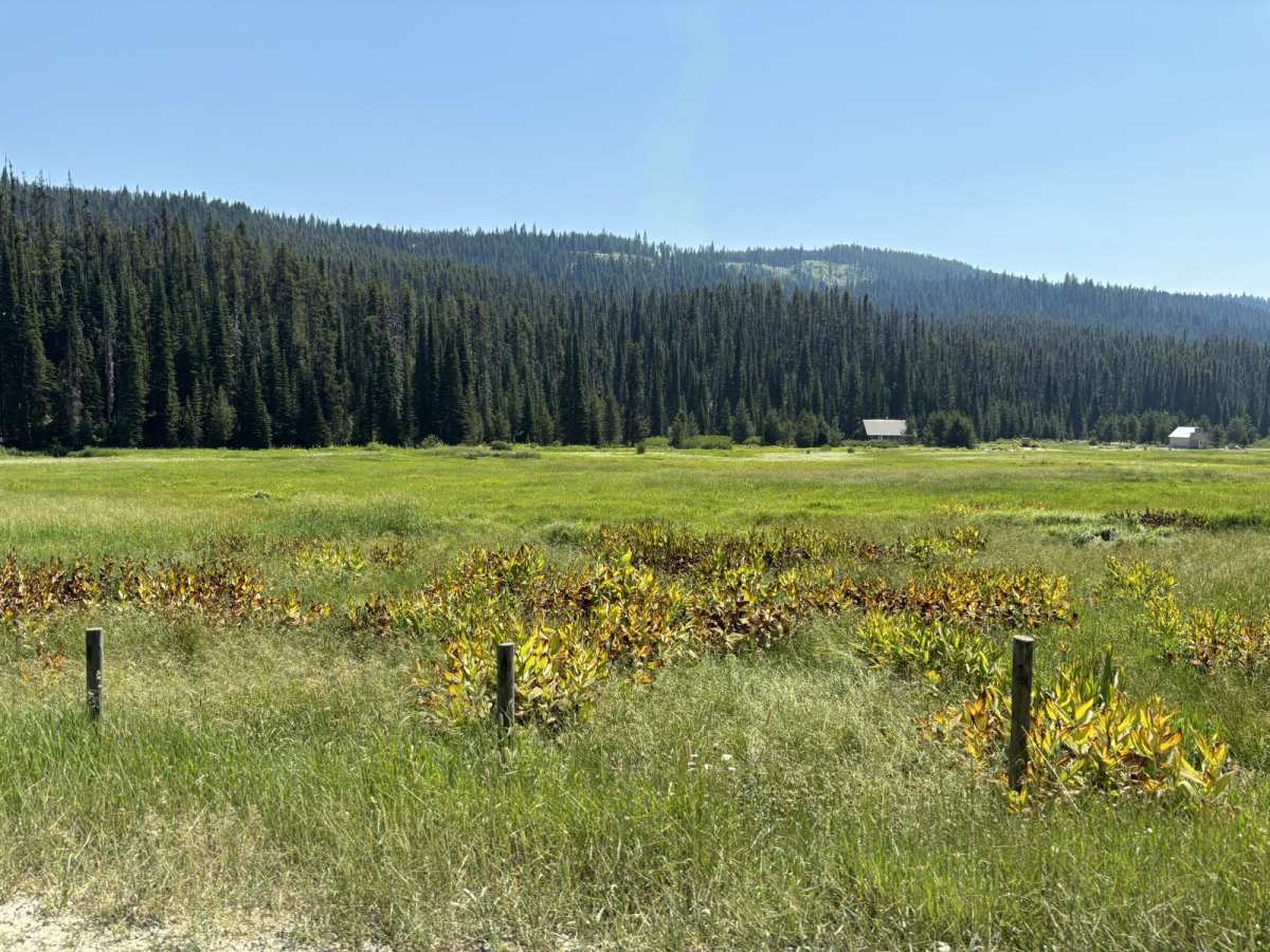 Red River Road | Off-Road Trail Maps, Difficulty, Trail Status | onX ...