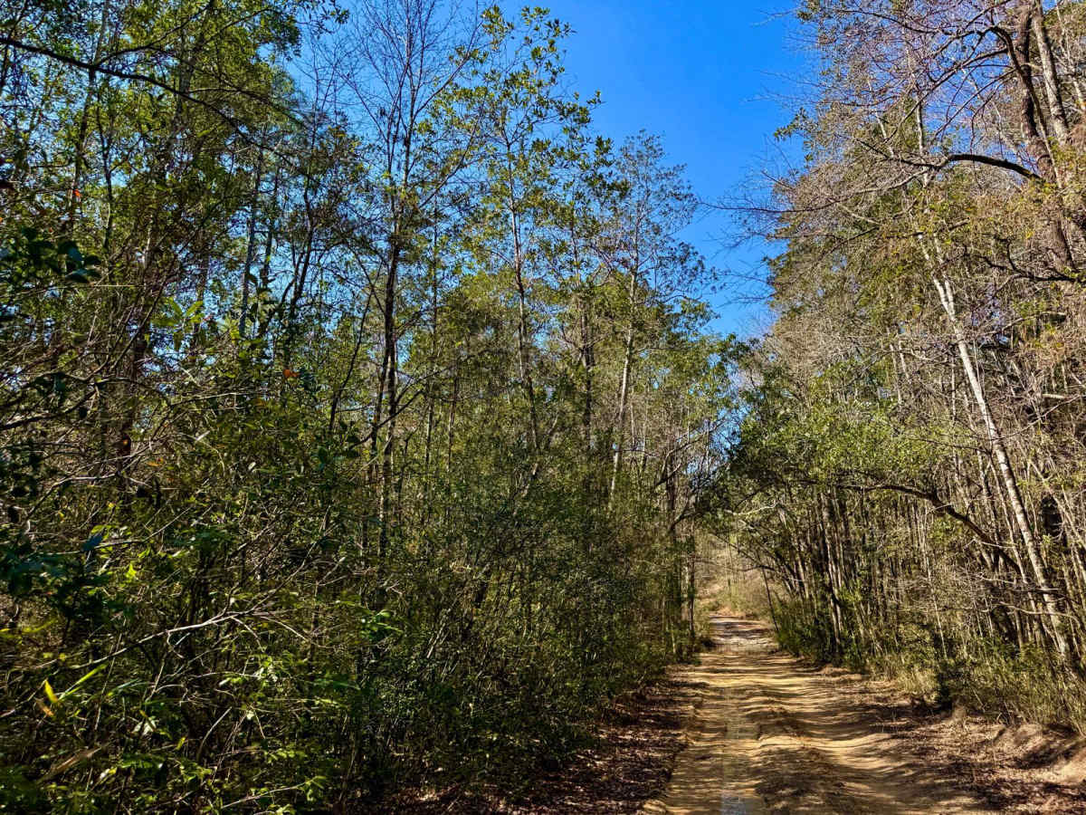 Florida State R47 Meadow Loop | Off-Road Trail Maps, Difficulty, Trail ...