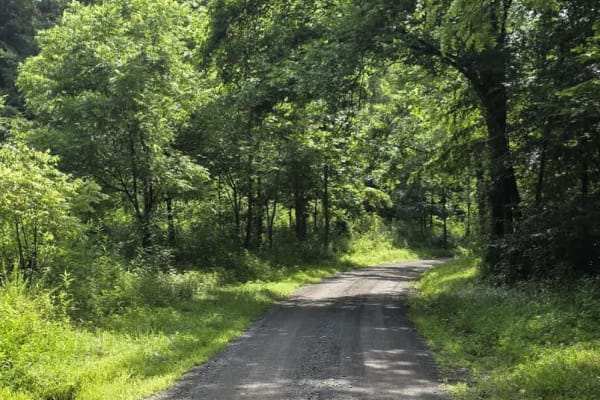 Best Off-Road Trails Near Greenvale, Tennessee | Maps, Ratings & Info | onX