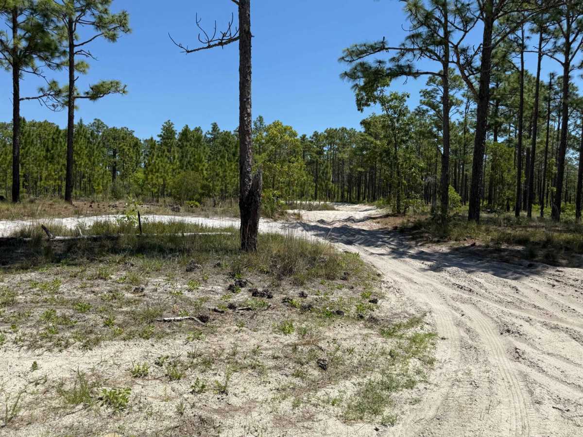 Pringle Road - FS 123 | Off-Road Trail Maps, Difficulty, Trail Status ...
