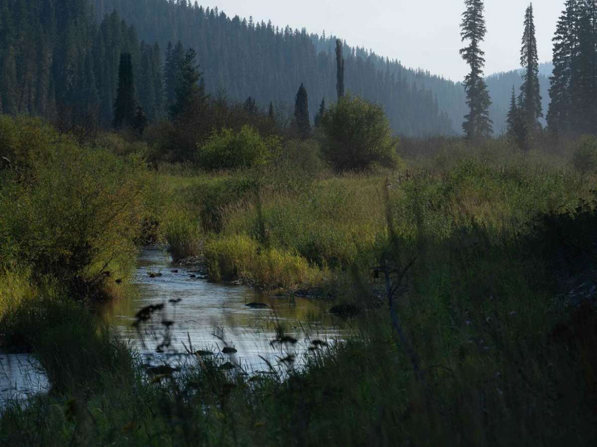 Teepee Creek -6310 | Off-Road Trail Maps, Difficulty, Trail Status ...