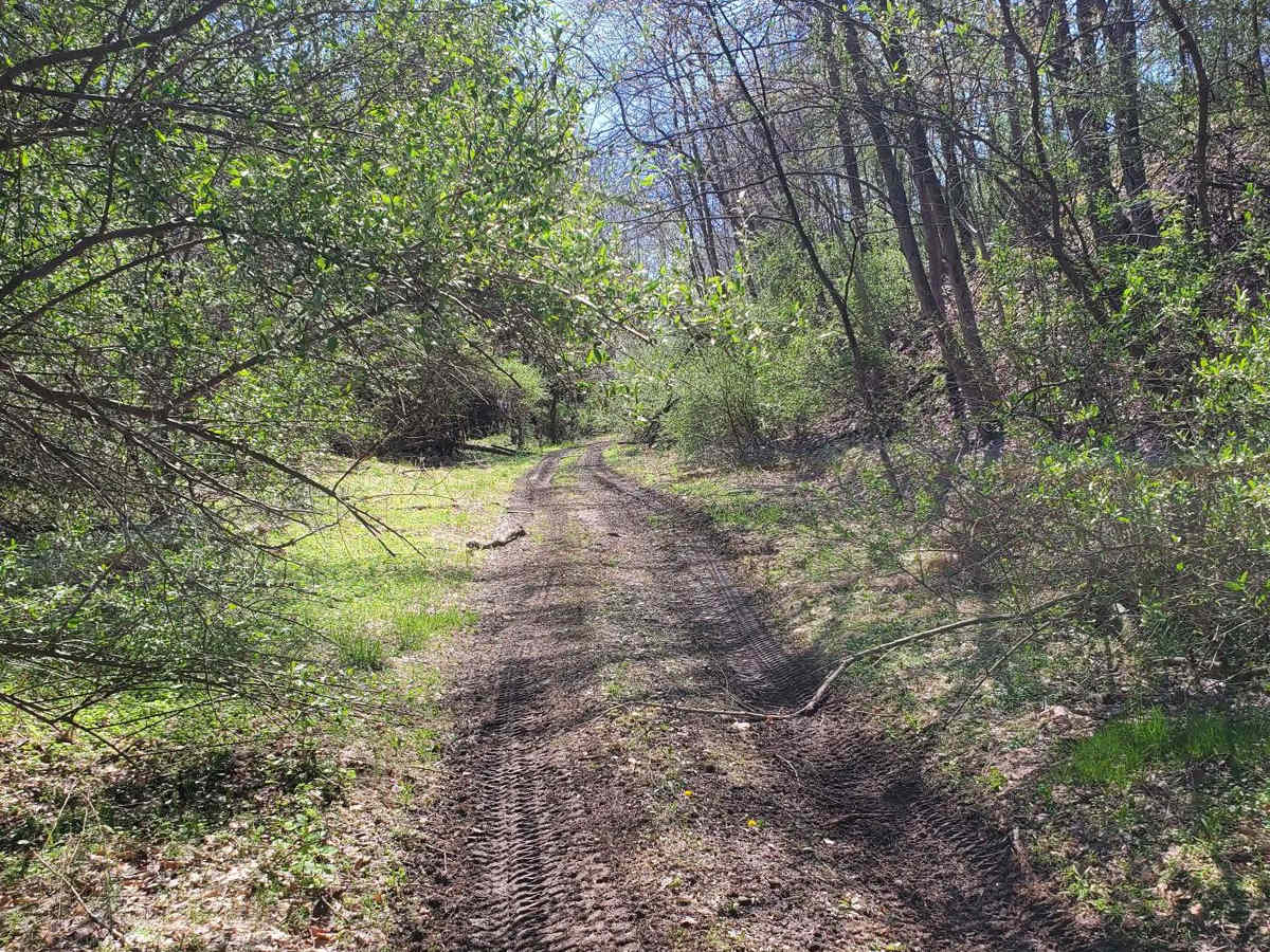 Mud and Off-Camber | Off-Road Trail Maps, Difficulty, Trail Status ...