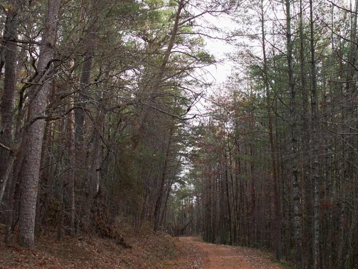 Fall Creek - FSR 722 | Off-Road Trail Maps, Difficulty, Trail Status ...