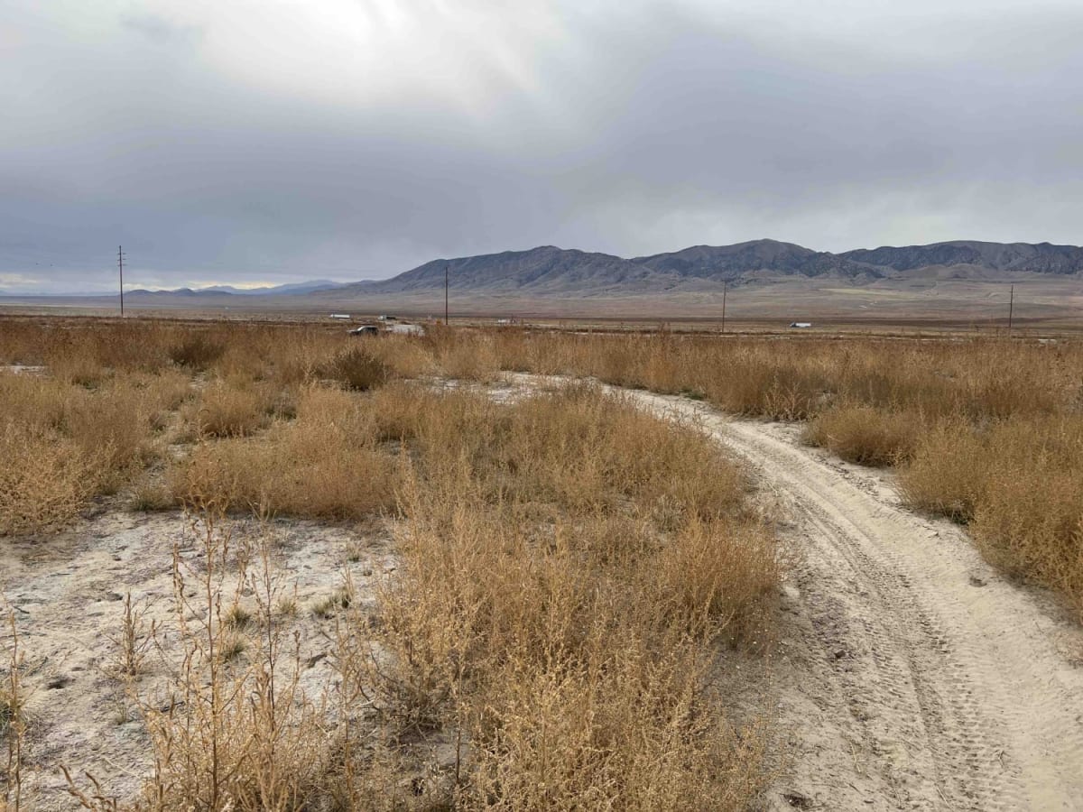 Sidewinder | Off-Road Trail Maps, Difficulty, Trail Status | onX Offroad