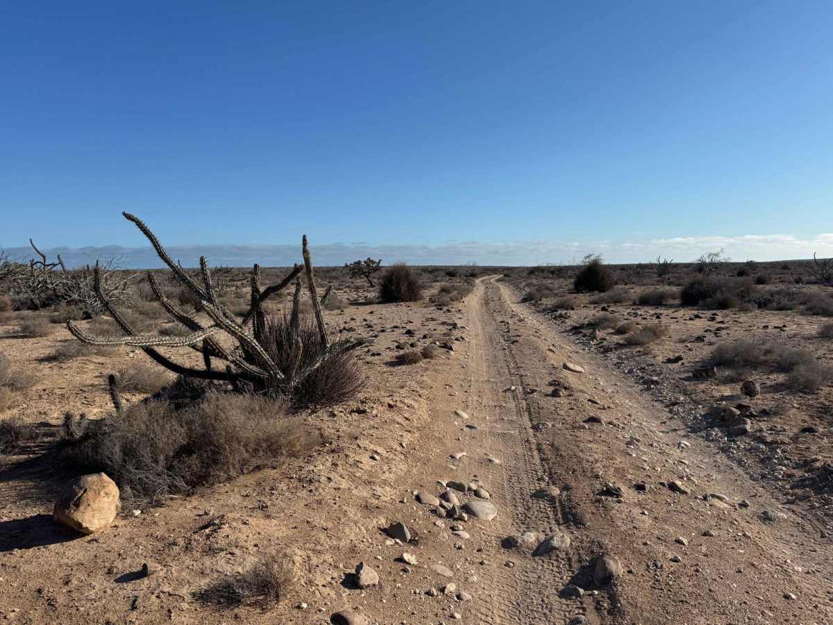 Circle Point | Off-Road Trail Maps, Difficulty, Trail Status | onX Offroad