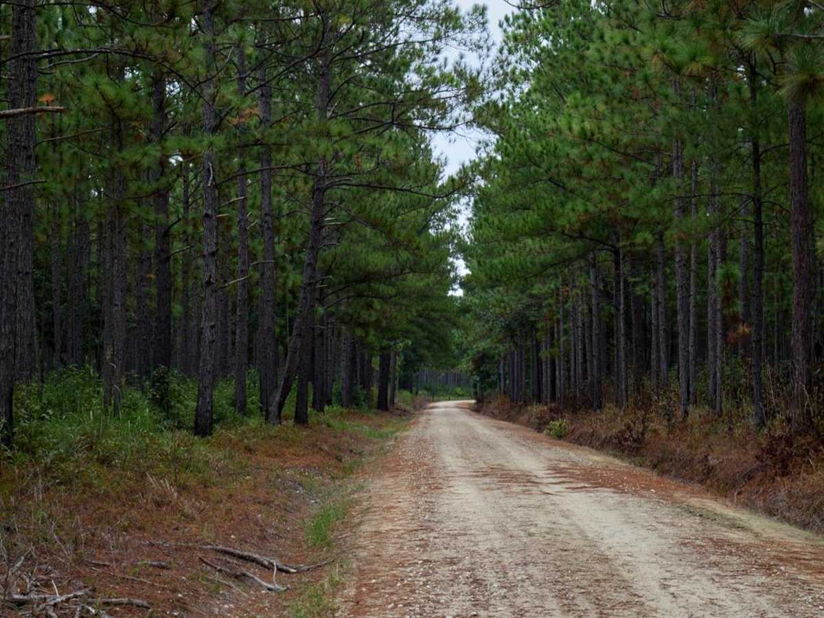Bonneau Ferry WMA - Perimeter Loop B | Off-Road Trail Maps, Difficulty ...