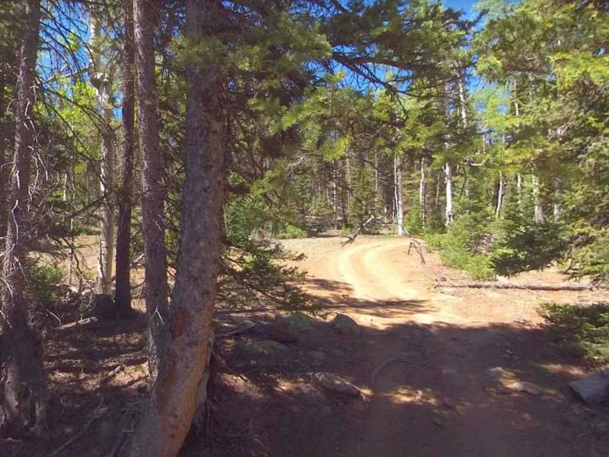 Boulder Swale ATV Trail-NFS34022 | Off-Road Trail Maps, Difficulty ...