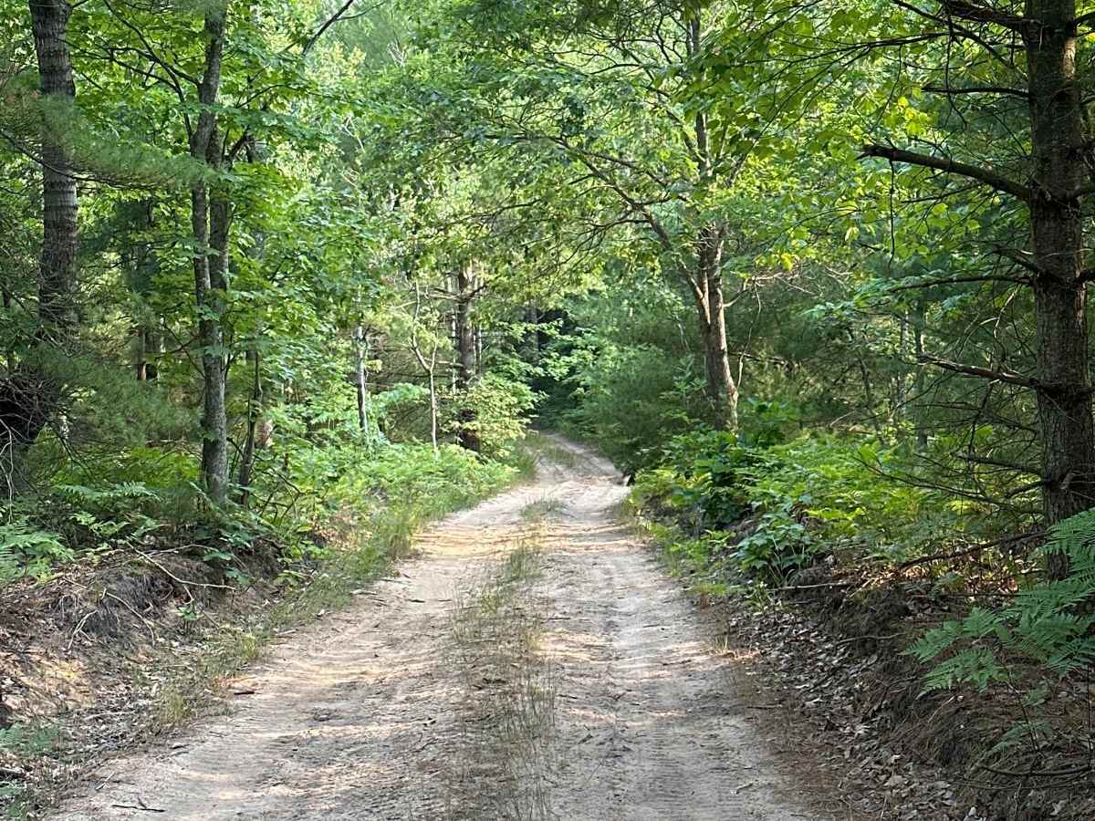 North Carmean Road Part 1 | Off-Road Trail Maps, Difficulty, Trail ...