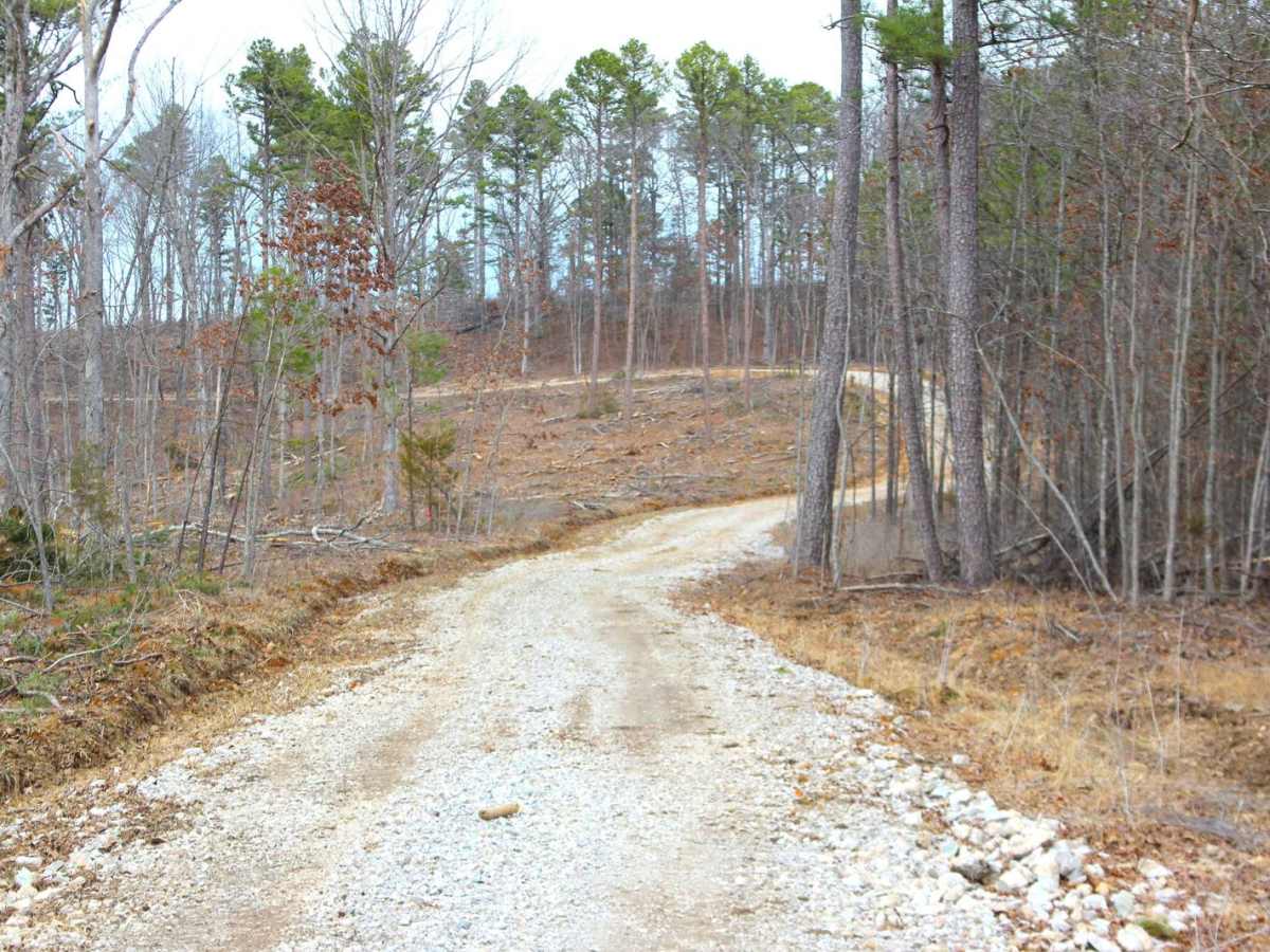 Boiling Ridge - FS 2099 | Off-Road Trail Maps, Difficulty, Trail Status ...