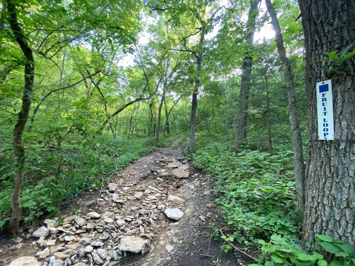 Fruit Loop | Off-Road Trail Maps, Difficulty, Trail Status | onX Offroad