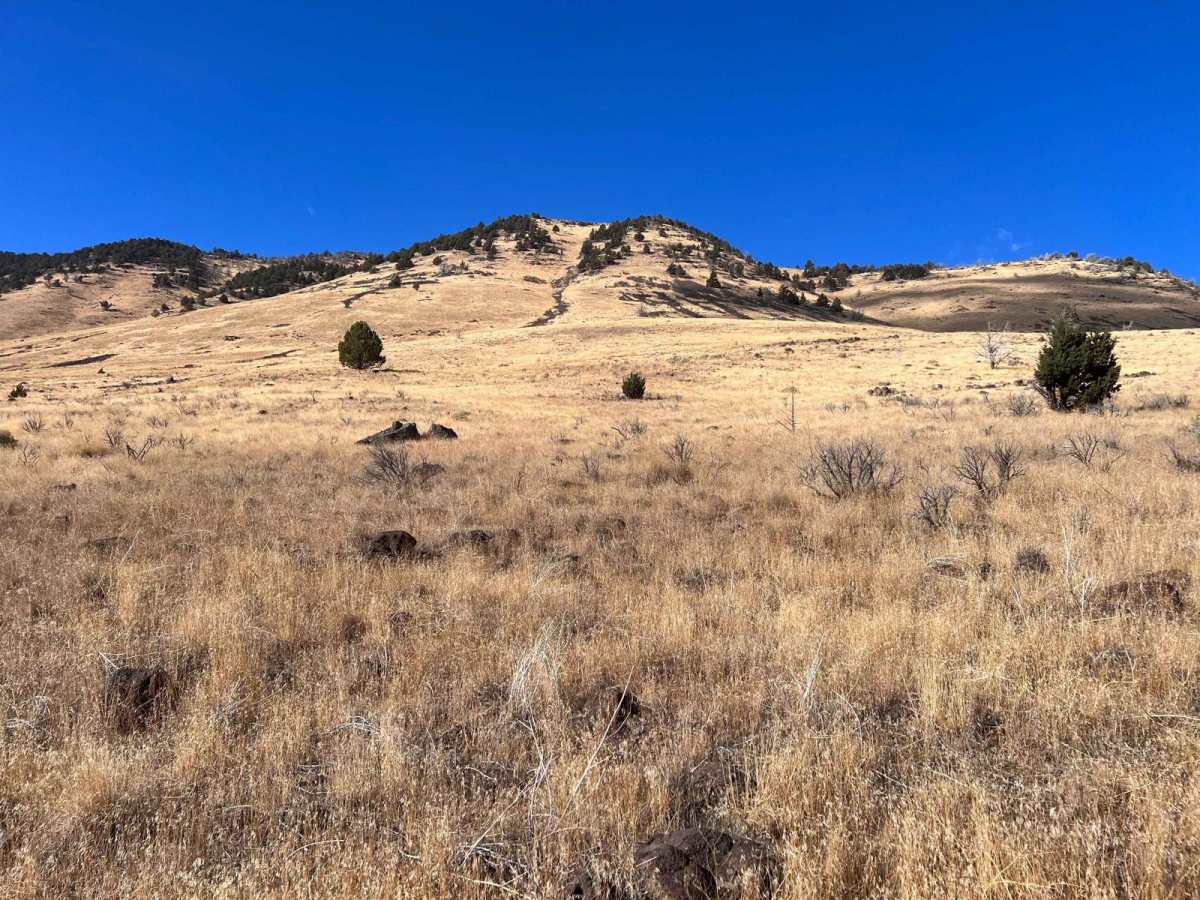 Burnt Flat Road | Off-Road Trail Maps, Difficulty, Trail Status | onX ...