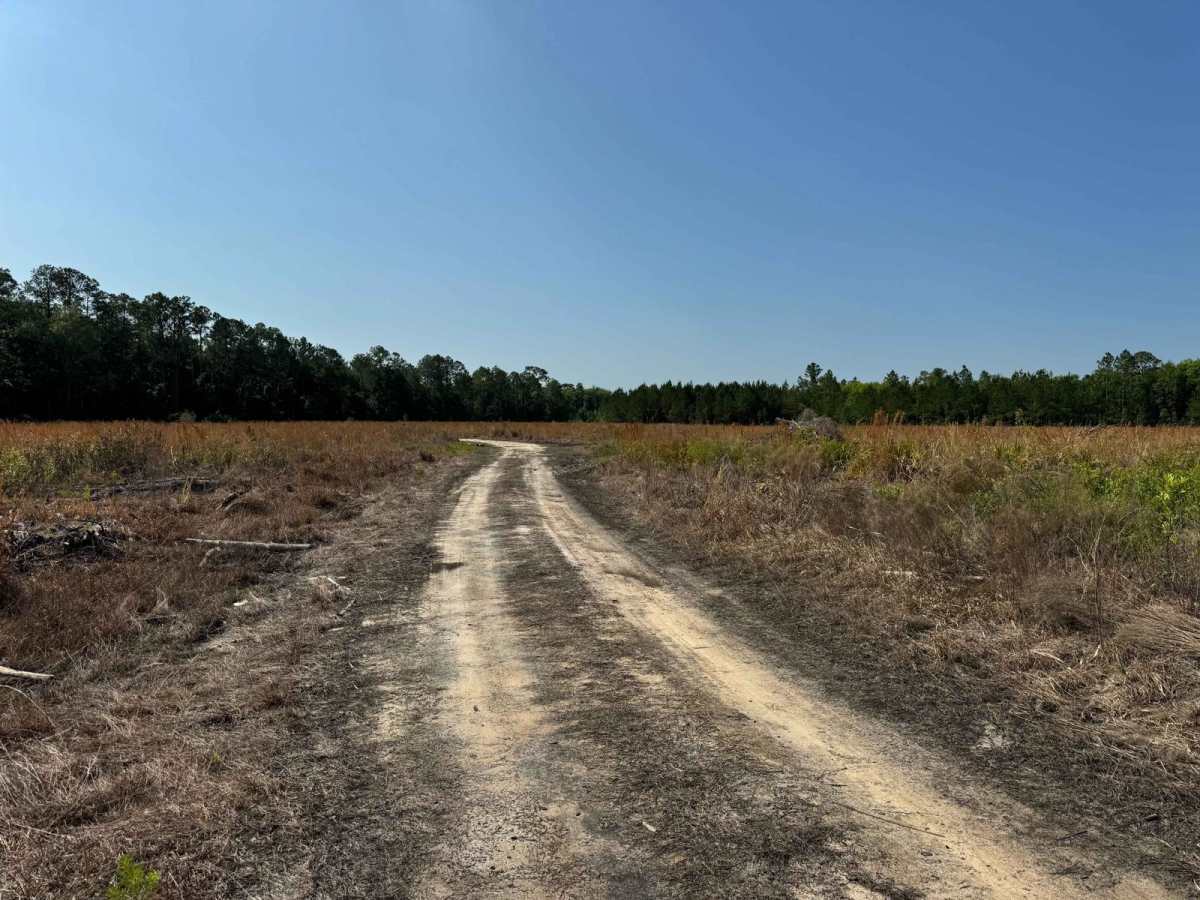 Fish Camp Road North | Off-Road Trail Maps, Difficulty, Trail Status ...