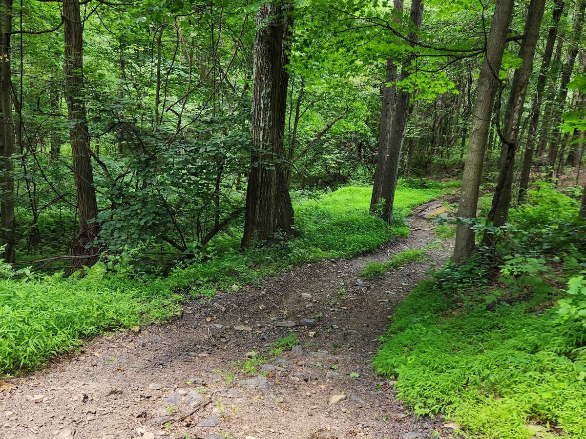 Trail 4B - Rock Run Recreation Area | Off-Road Trail Maps, Difficulty ...