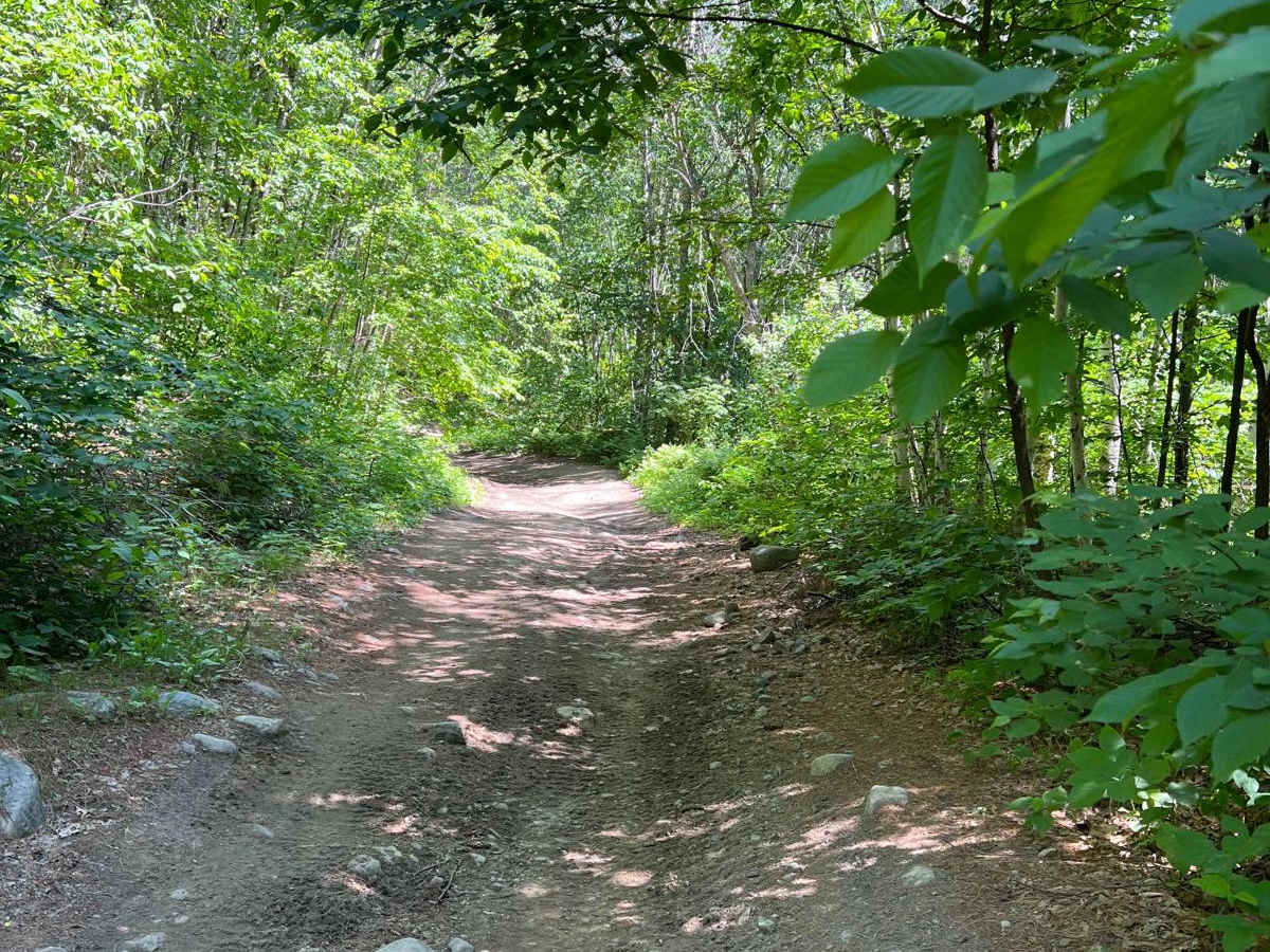 Paul Bunyan Far East Loop | Off-Road Trail Maps, Difficulty, Trail ...