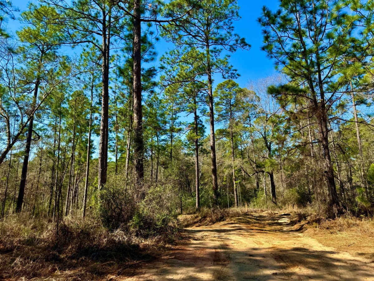 Florida State R47 Meadow Loop | Off-Road Trail Maps, Difficulty, Trail ...
