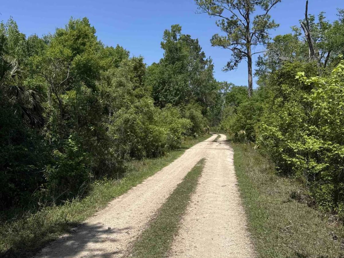 Firebreak 14 - Aucilla WMA | Off-Road Trail Maps, Difficulty, Trail ...