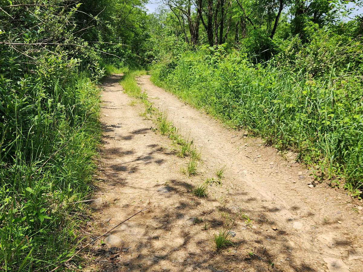 Trail 11J - Rock Run Recreation Area | Off-Road Trail Maps, Difficulty ...