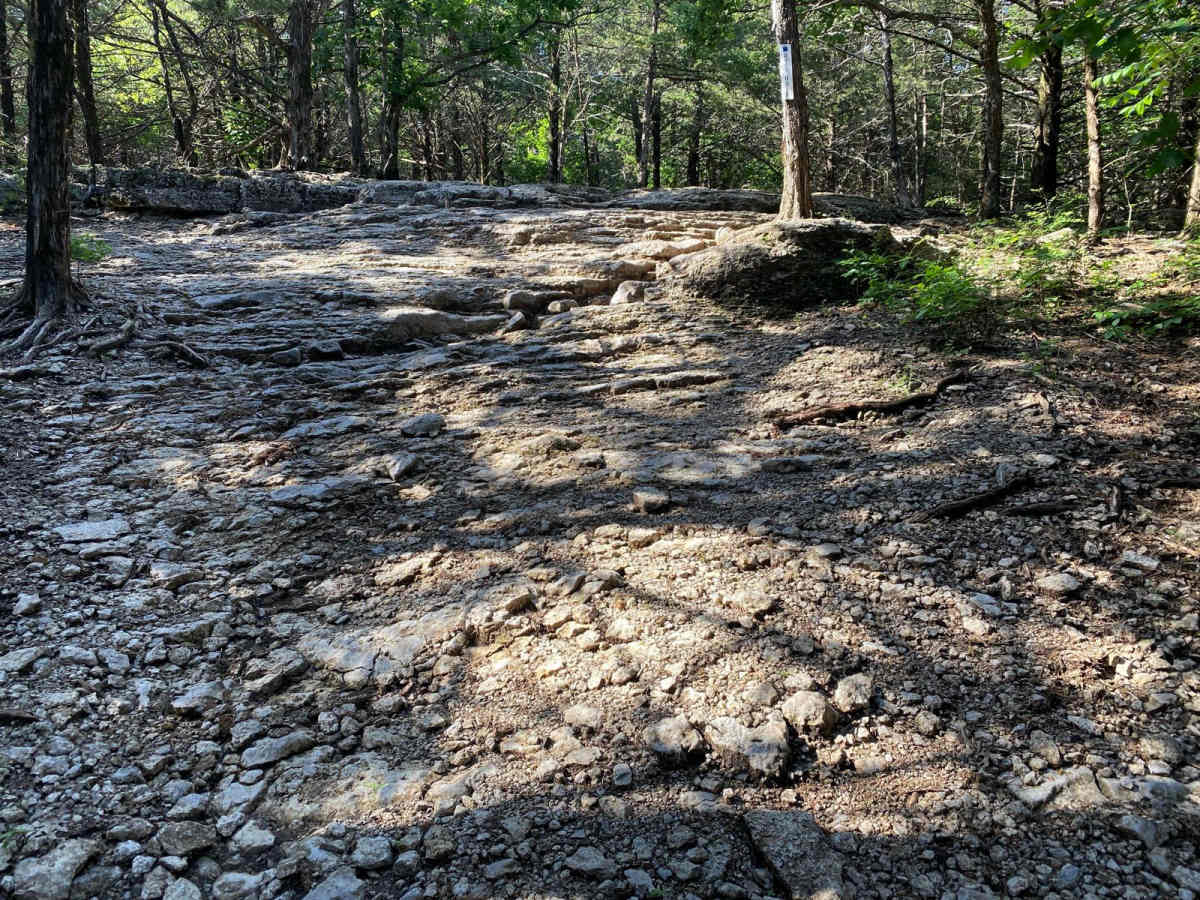Ron's Rock | Off-Road Trail Maps, Difficulty, Trail Status | onX Offroad
