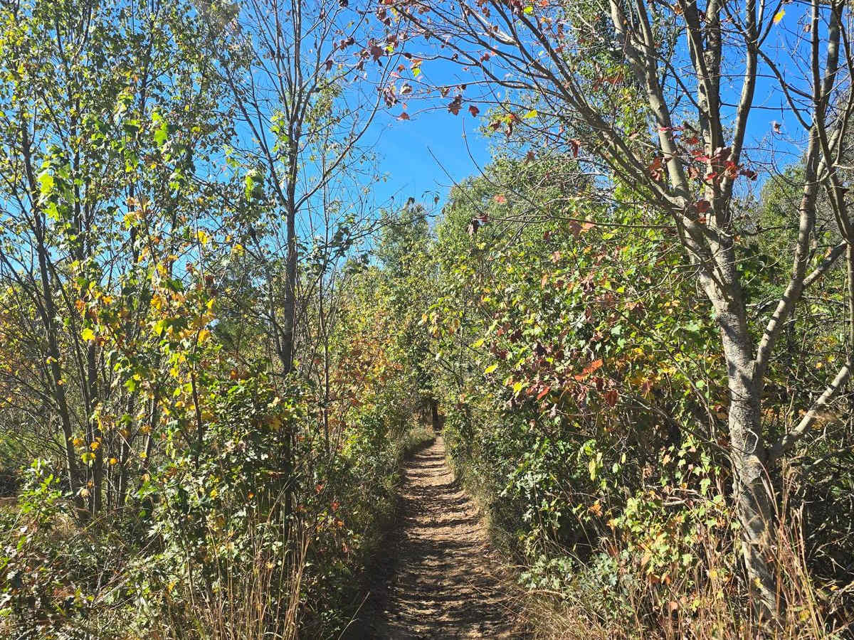 Ambrose Lake Trail West Loop | Off-Road Trail Maps, Difficulty, Trail ...