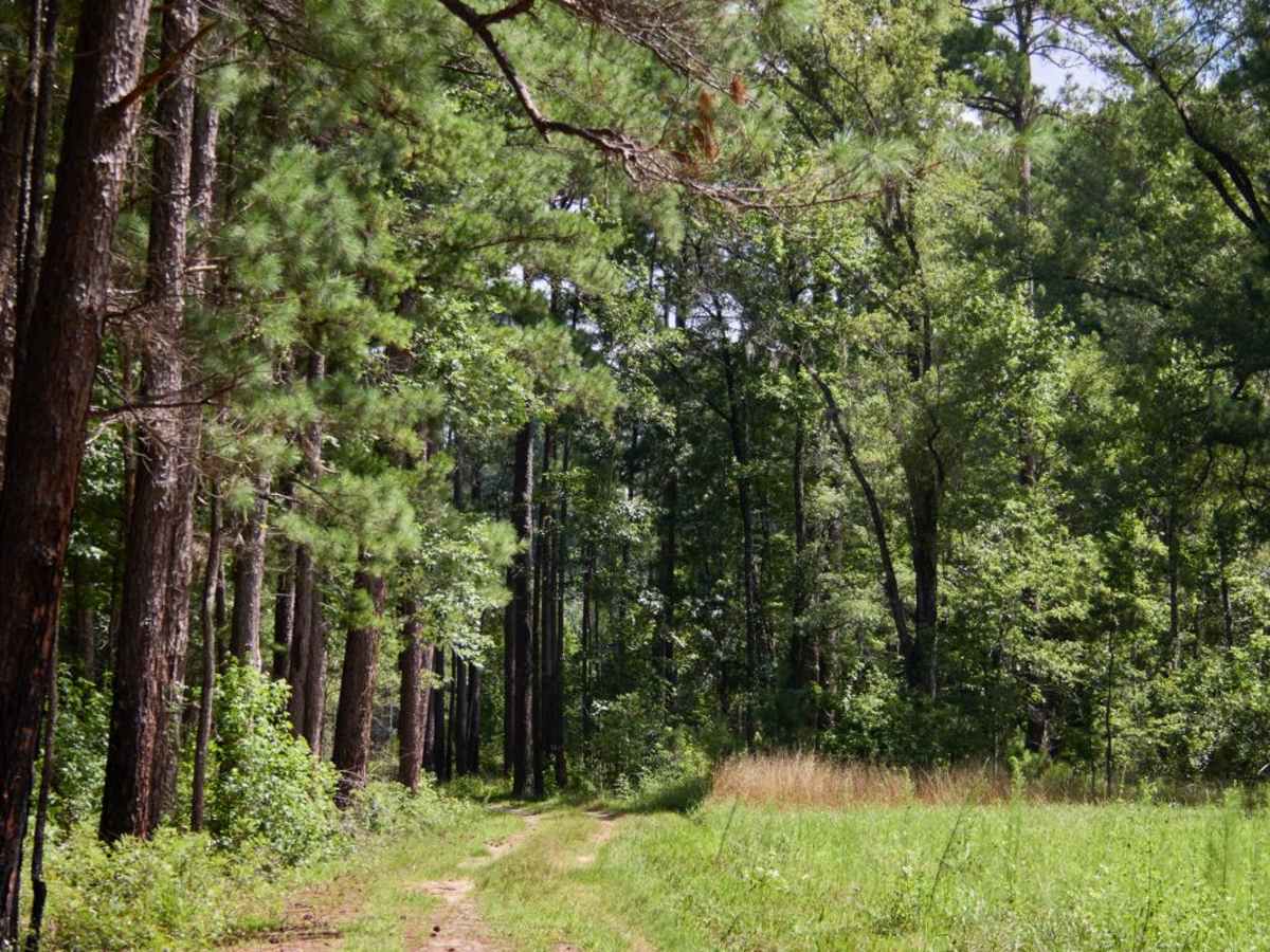 Fish Pond Loop | Off-Road Trail Maps, Difficulty, Trail Status | onX ...