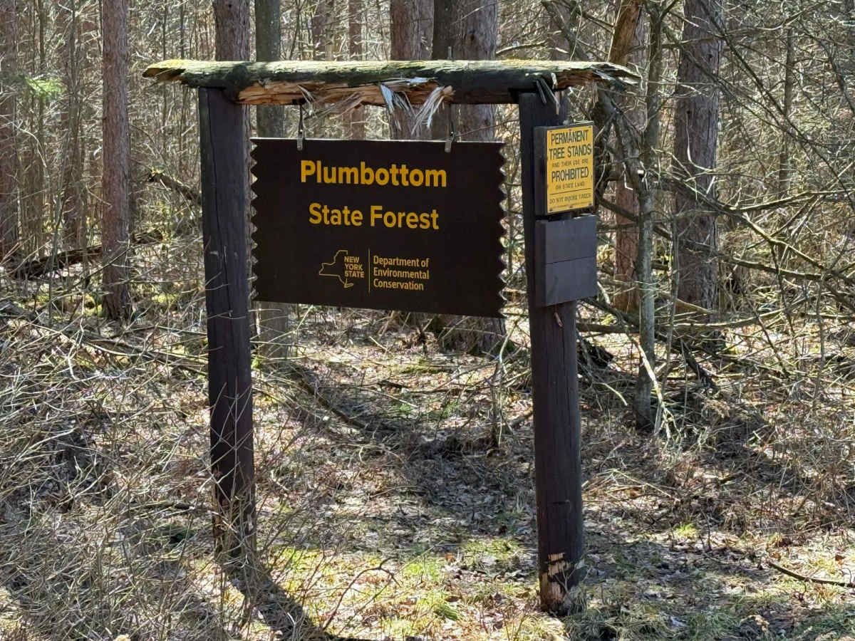 Plumbottom Reddy Forest Road | Off-Road Trail Maps, Difficulty, Trail ...