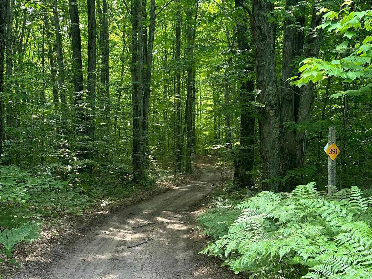 Betsie Valley Bypass/391 | Off-Road Trail Maps, Difficulty, Trail ...