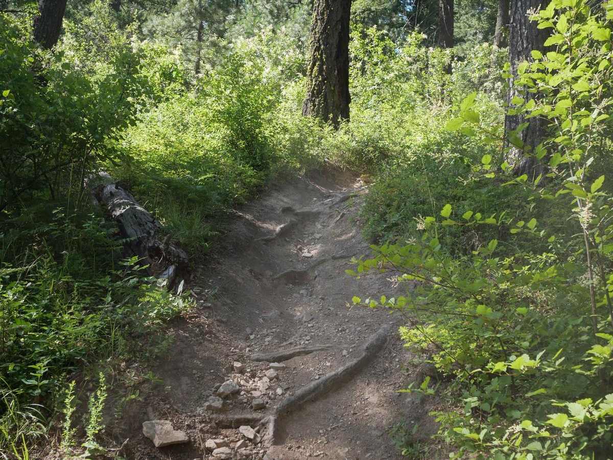 Canfield Mountain- Trail 5 | Off-Road Trail Maps, Difficulty, Trail ...