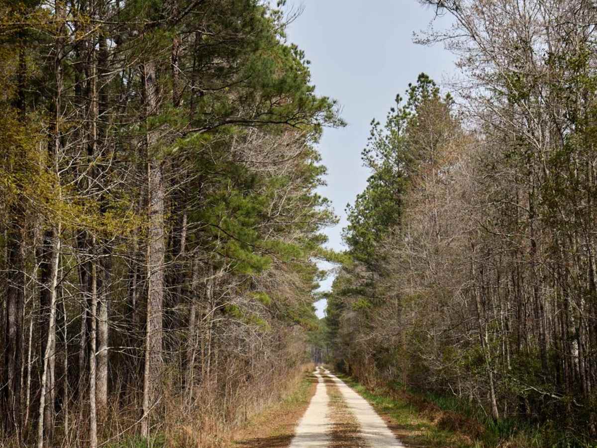 Buckle Island Alternative - FSR171b | Off-Road Trail Maps, Difficulty ...