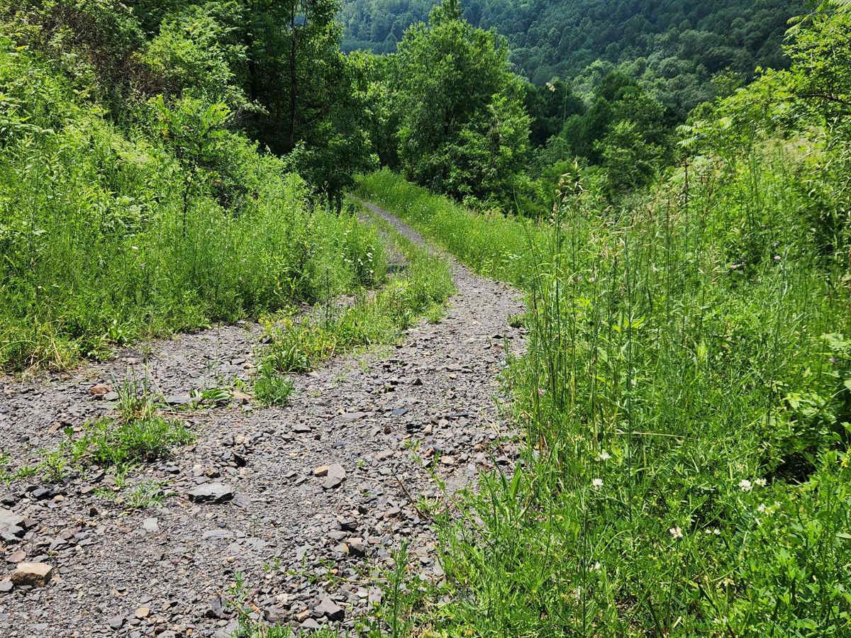 Trail 6I - Rock Run Recreation Area | Off-Road Trail Maps, Difficulty ...