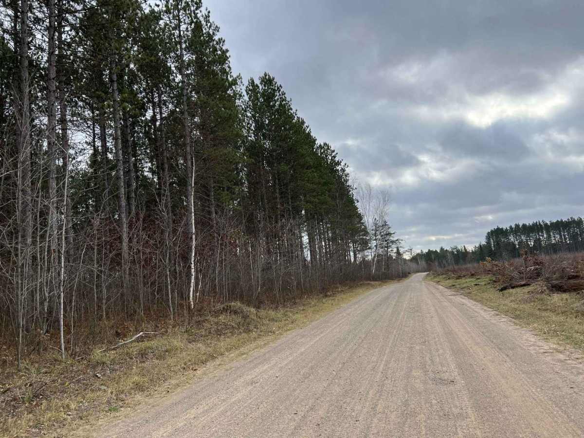 White Birch/ Firelane Road | Off-Road Trail Maps, Difficulty, Trail ...