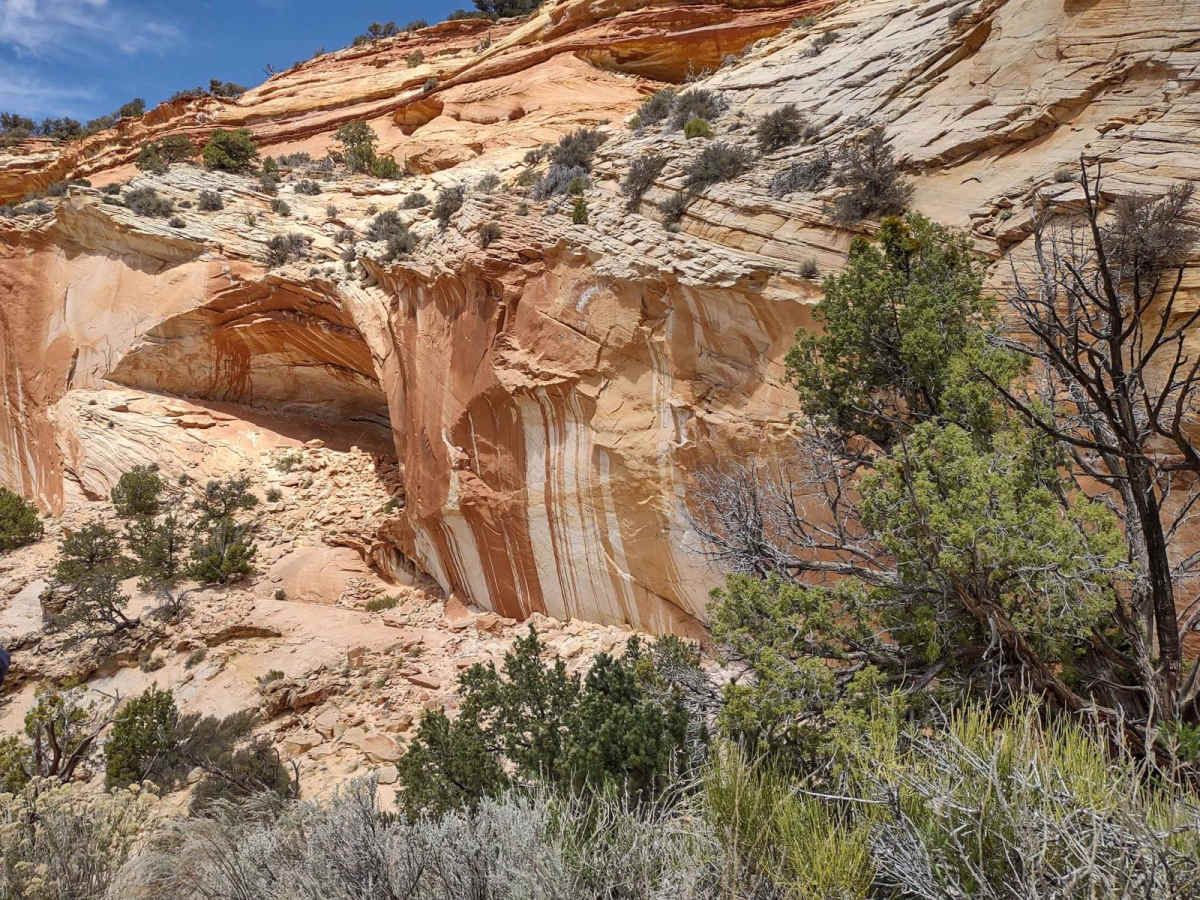 Sidewinder - Mansard Petroglyphs (BLM 104) | Off-Road Trail Maps ...
