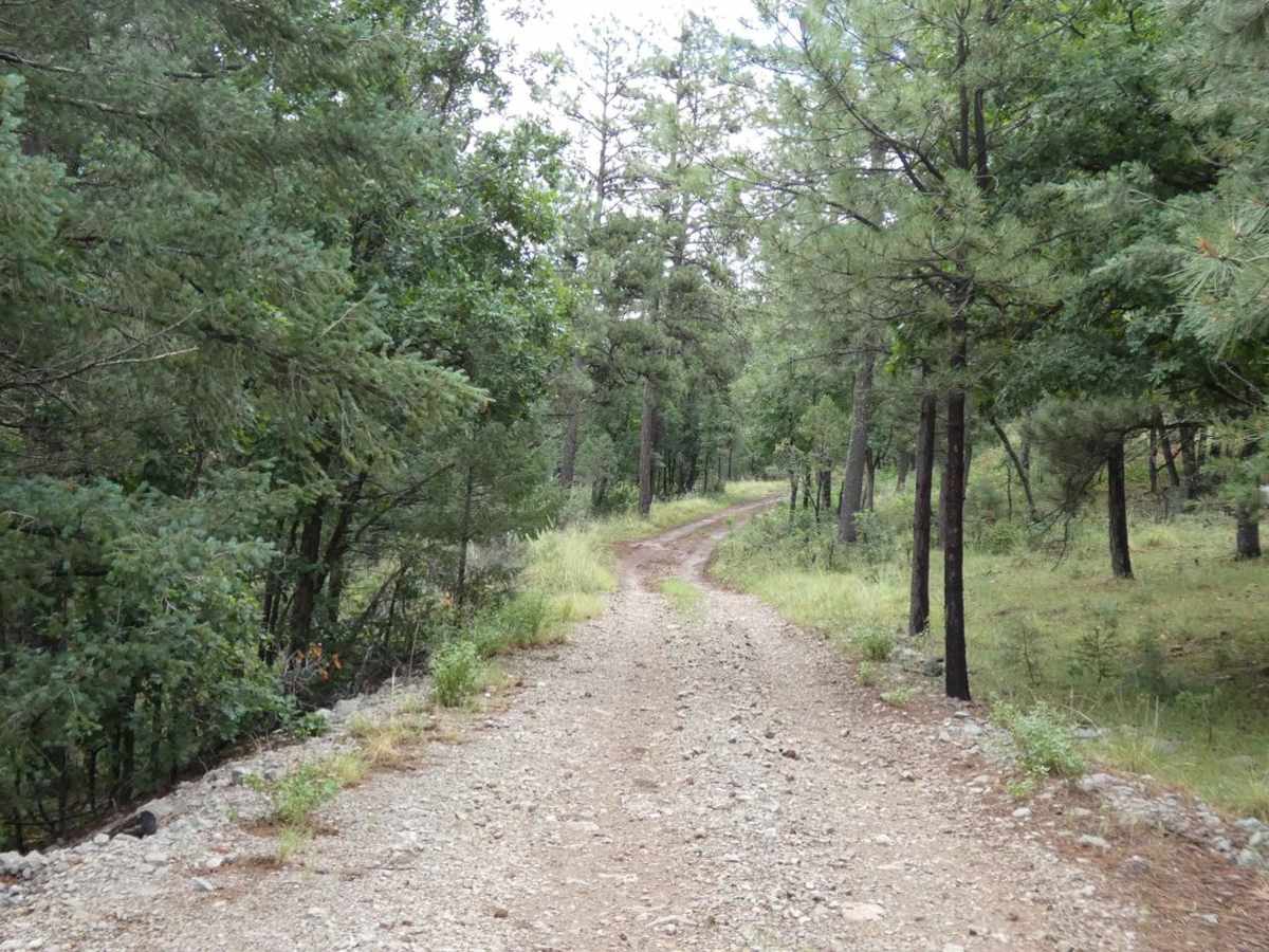 Wet Burnt Can | Off-Road Trail Maps, Difficulty, Trail Status | onX Offroad