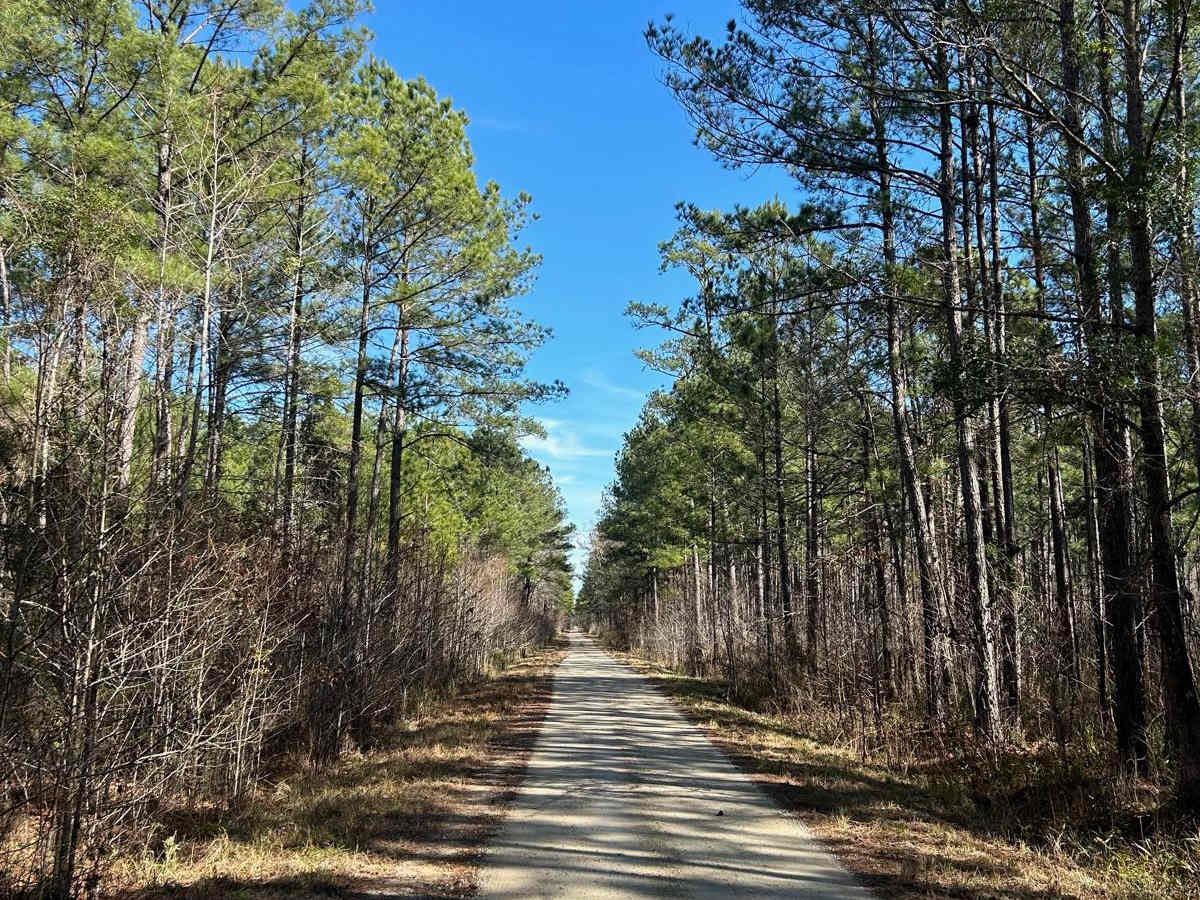 Yellow Jacket Road - FSR 159 | Off-Road Trail Maps, Difficulty, Trail ...