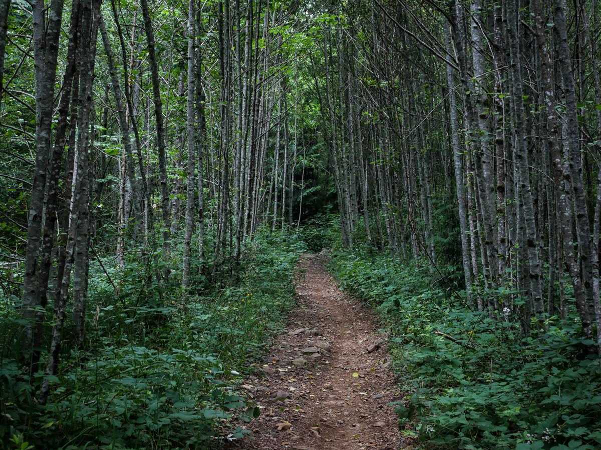 Kim and Monicas | Off-Road Trail Maps, Difficulty, Trail Status | onX ...