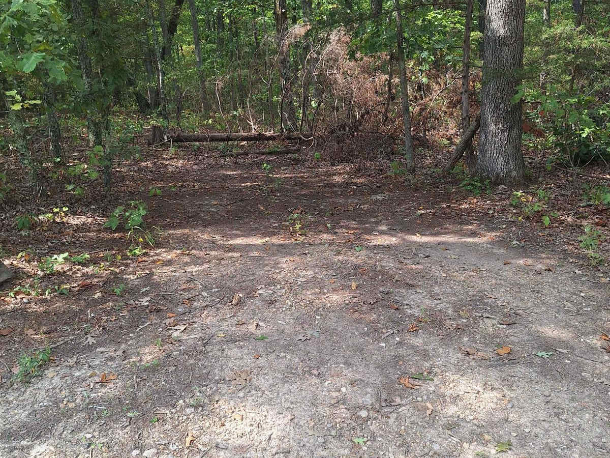 Johnson Mountain FSR 2245/ Logan Mountain FSR 2780 | Off-Road Trail ...