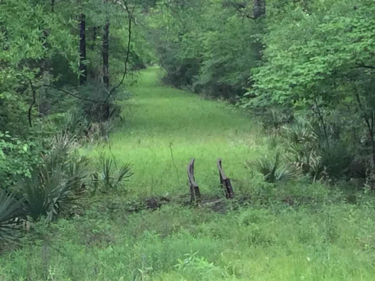 Dewey Wills Wildlife Management Area (WMA) Cross Trail | Off-Road Trail ...