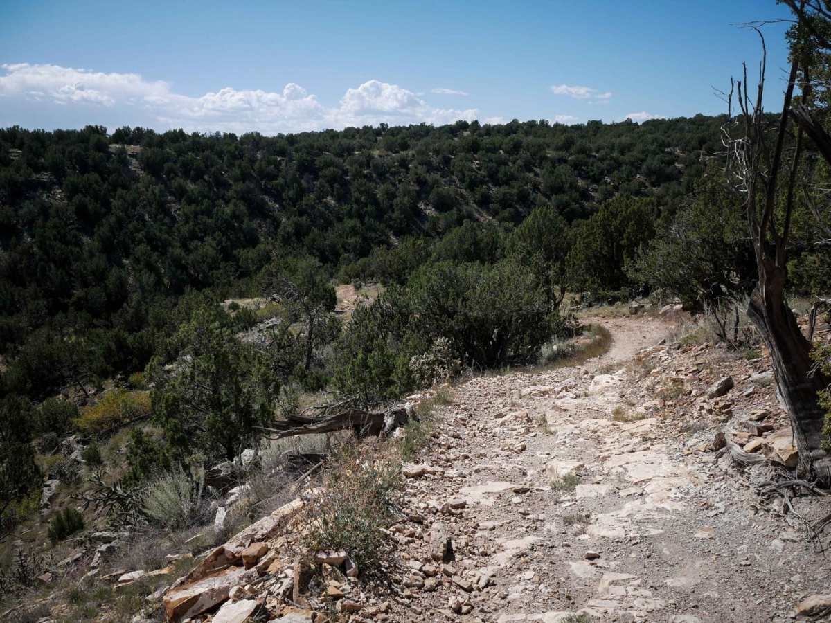6102C | Off-Road Trail Maps, Difficulty, Trail Status | onX Offroad
