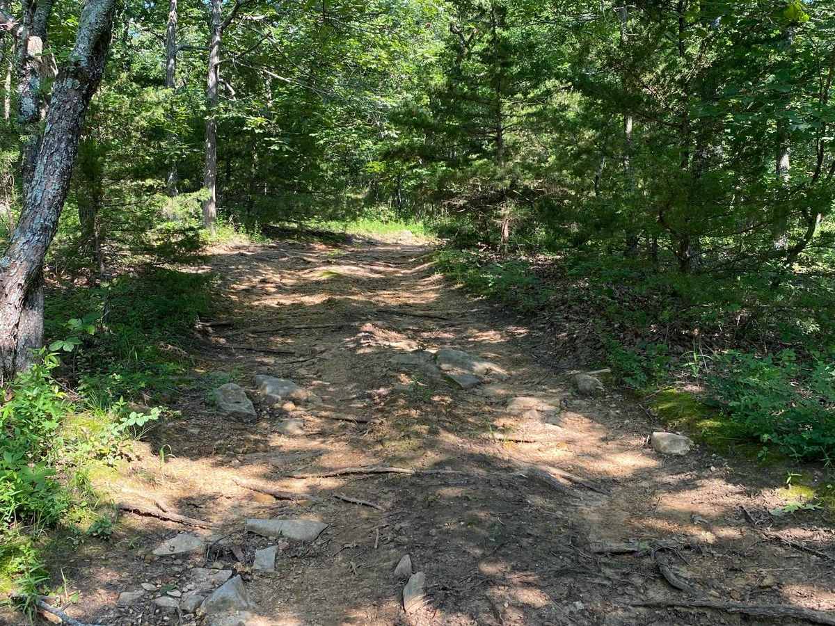 Red and Yellow Tree Bypass | Off-Road Trail Maps, Difficulty, Trail ...