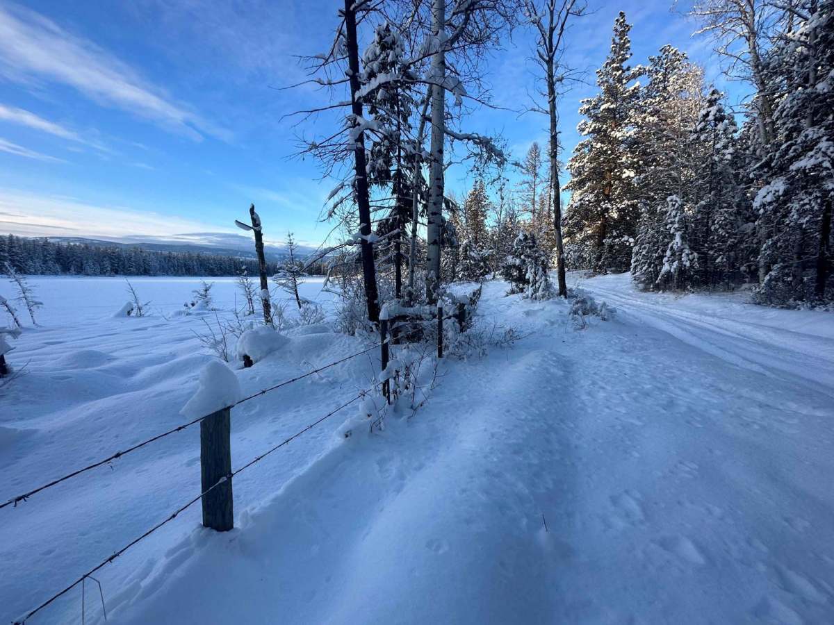 McGinty Lake Loop | Off-Road Trail Maps, Difficulty, Trail Status | onX ...