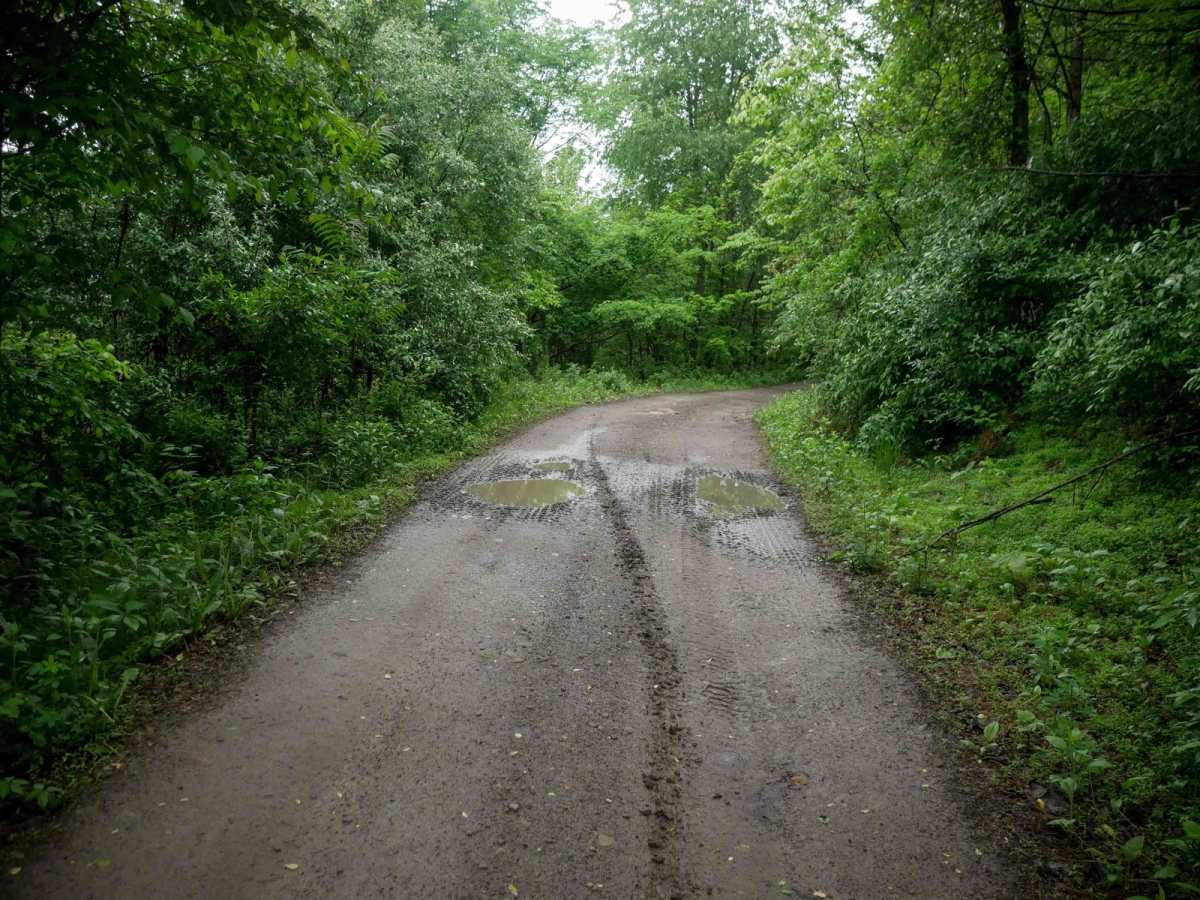 BM 28 | Off-Road Trail Maps, Difficulty, Trail Status | onX Offroad