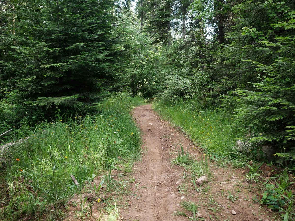 Canfield Mountain - Trail A (East) | Off-Road Trail Maps, Difficulty ...