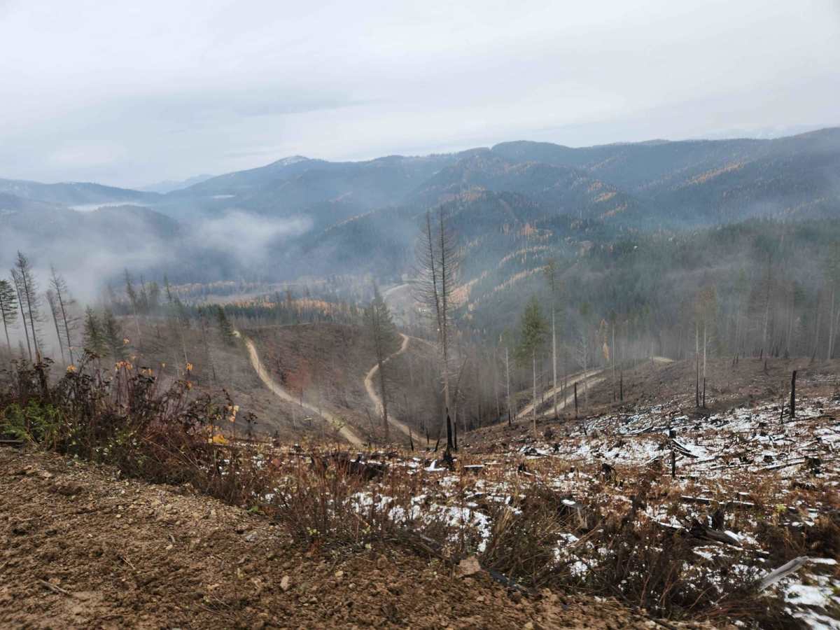 Character Ridge | Off-Road Trail Maps, Difficulty, Trail Status | onX ...
