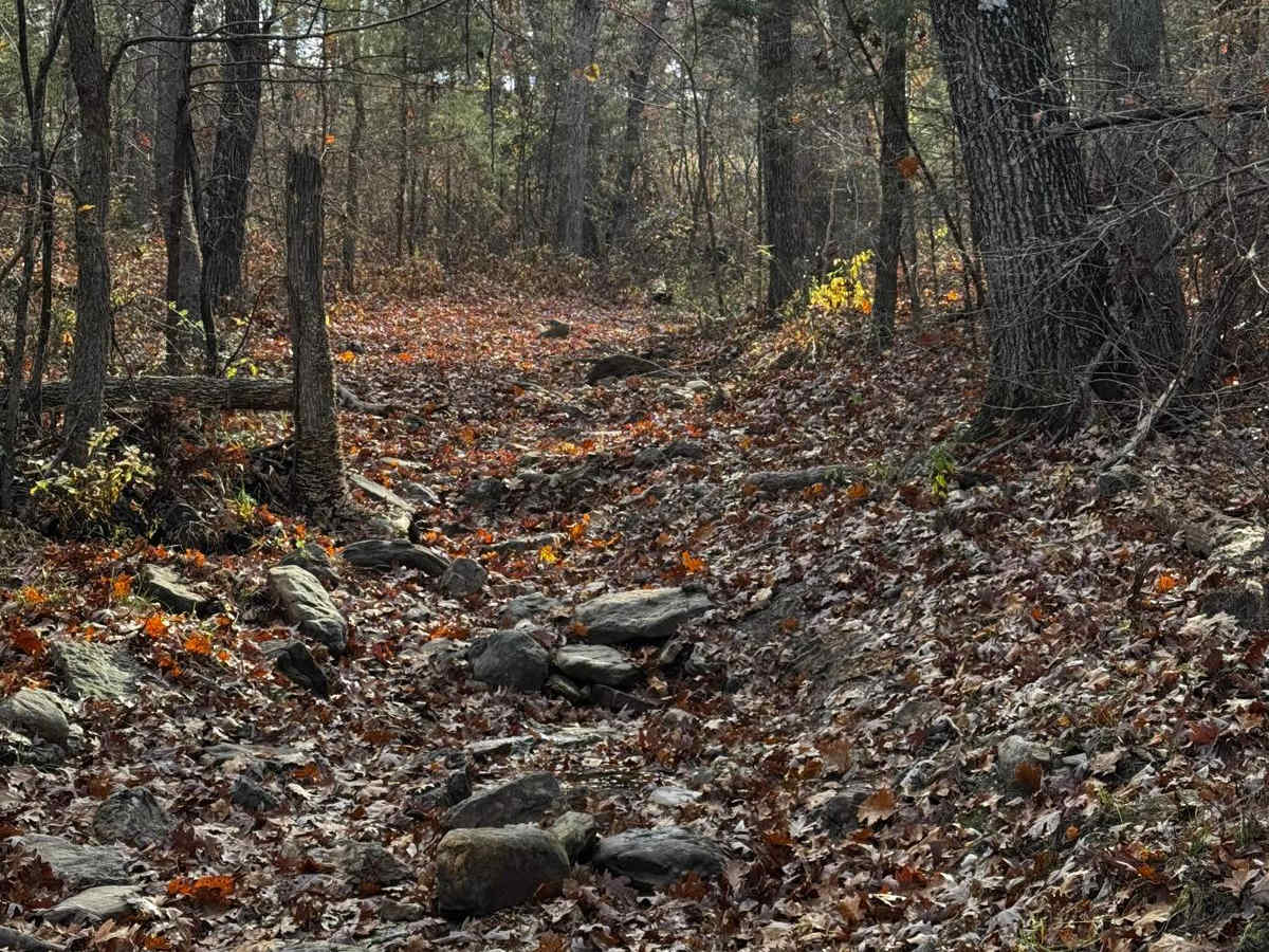 Stanton Lane | Off-Road Trail Maps, Difficulty, Trail Status | onX Offroad