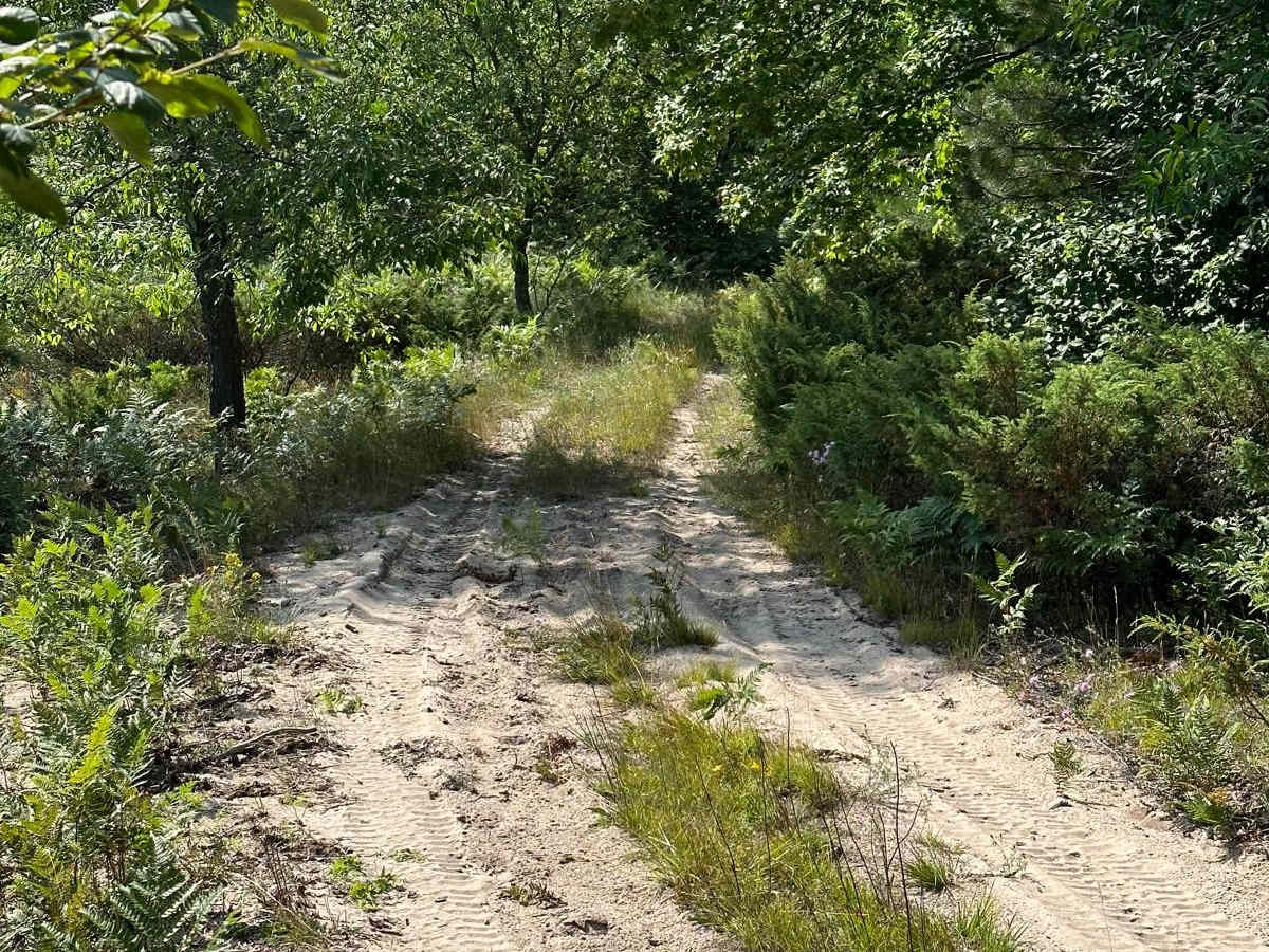 Beeman Road Spur | Off-Road Trail Maps, Difficulty, Trail Status | onX ...