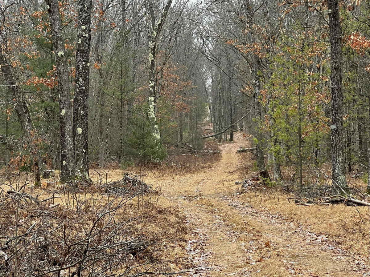 Yates Lookout Tower Trail (NFS 9901) | Off-Road Trail Maps, Difficulty ...