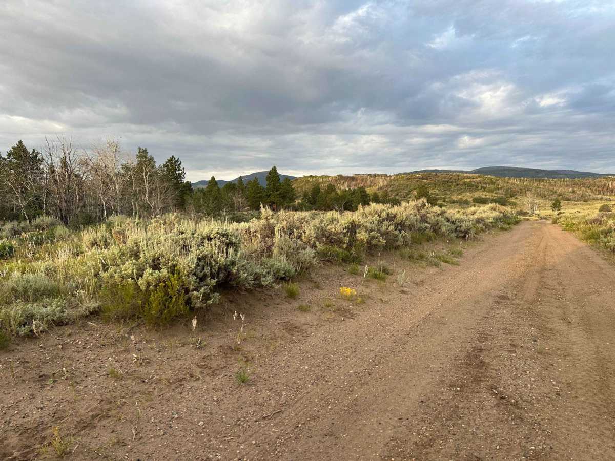 Old Woman Road | Off-Road Trail Maps, Difficulty, Trail Status | onX ...