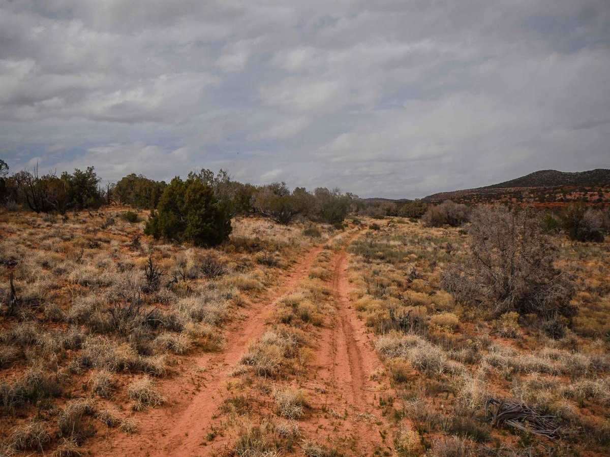 Fence Trail | Off-Road Trail Maps, Difficulty, Trail Status | onX Offroad