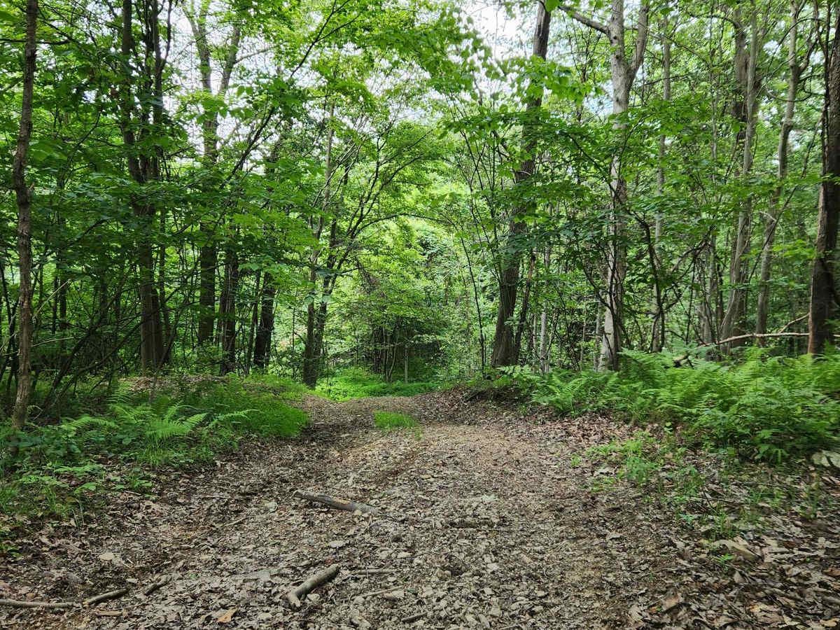 Trail 4C - Rock Run Recreation Area | Off-Road Trail Maps, Difficulty ...